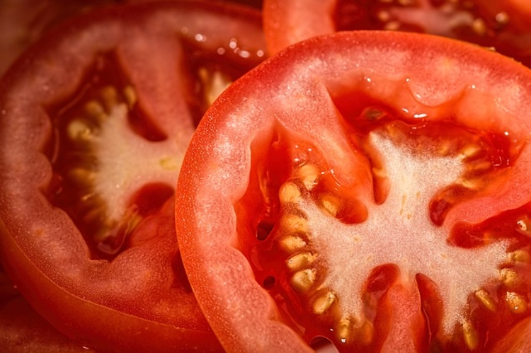 Conheça os benefícios de consumir tomate todo os dias Conheça os benefícios de consumir tomate todo os dias