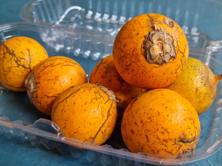 Tucumã previne disfunção erétil; conheça mais benefícios