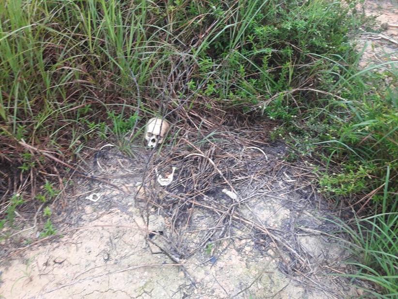 Ossos humanos são encontrados no meio de matagal em Manaus