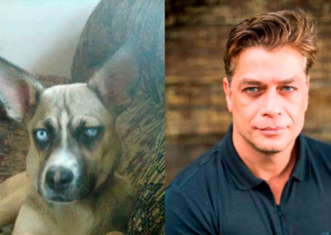 Veja galeria com cachorros que são a cara de famosos