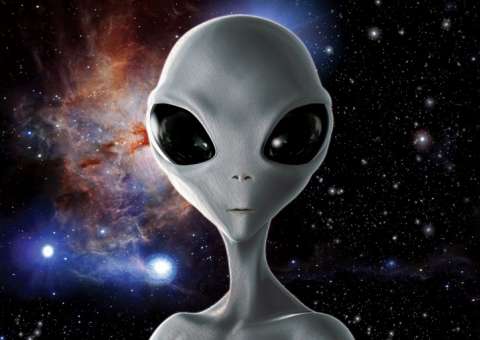 Novo estilo de barriga 'alienígena' promete benefícios e viraliza nas ...