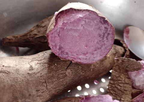 Cará roxo regula o intestino e previne anemia; conheça mais benefícios